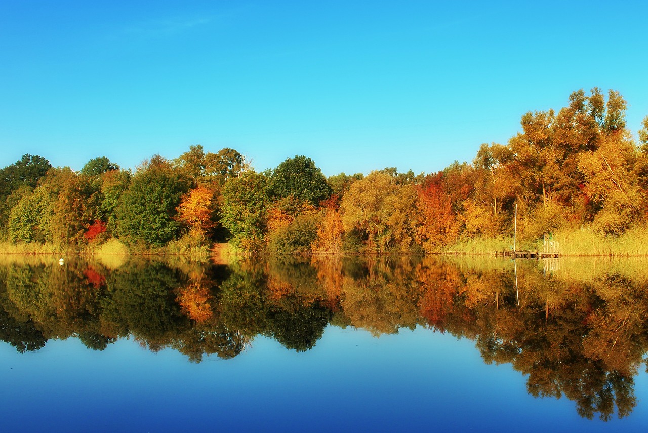 Exploring Buffalo in the Fall | Evolve Realty Services